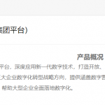 用友NC Cloud（大型集团平台）大型企业数字化平台（ NC Cloud202105-产品号：demoproduct）部署成功-甚是开森-老梁`s Blog（老梁博客,老梁IT技术博客）