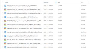Microsoft SQL Server 2022 Enterprise Edition(RTM) - 16.0.1000.6 (X64)中文 ...